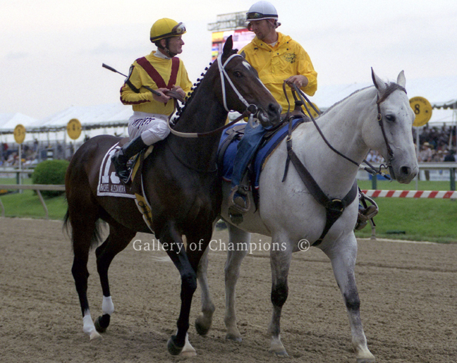Rachel Alexandra in the 2009 Preakness Stakes Post Parade