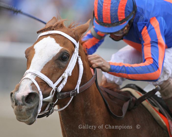 Rags to Riches Winning the 2007 Belmont Stakes