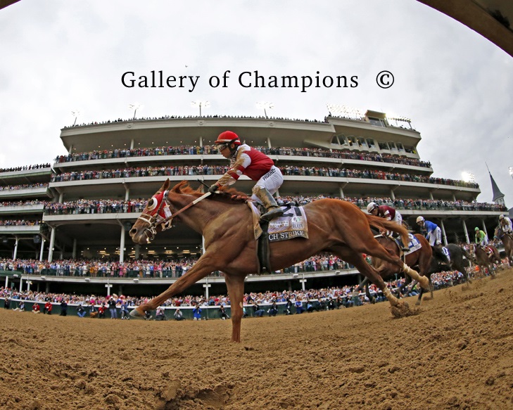 Fisheye View of Racehorse Rich Strike - 2022 Kentucky Derby