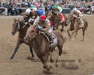 Rich Strike Pictures - Art Prints of the Racehorse Rich Strike