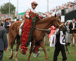 Rich Strike Pictures - Art Prints of the Racehorse Rich Strike