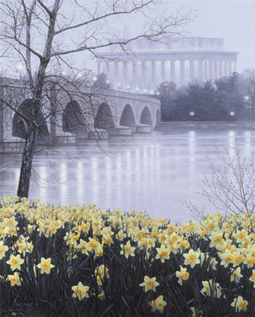 Rod Chase - A Grateful Nation - Limited Edition Art Print