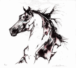 Sarah Richards Horse Art Prints