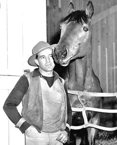 Seabiscuit Pictures - Seabiscuit Art Prints