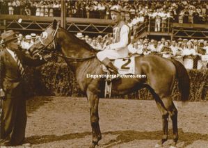 Seabiscuit Pictures - Seabiscuit Art Prints