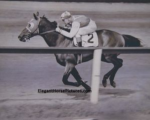 Seabiscuit Pictures - Seabiscuit Art Prints