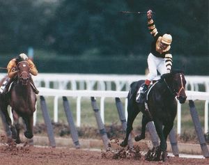 Seattle Slew Pictures - Seattle Slew Art Prints