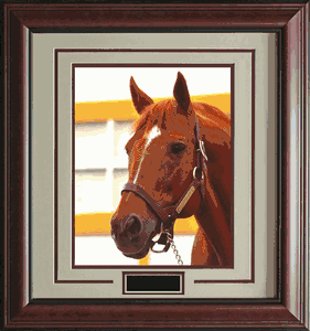 Secretariat Pictures - Secretariat Art Prints