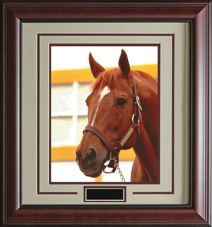 Secretariat Framed Portrait III