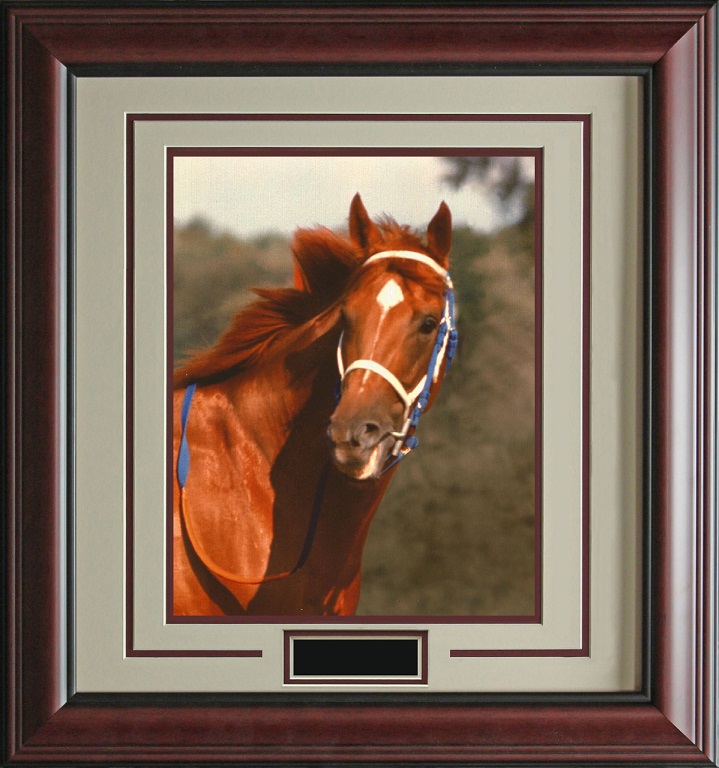 Framed Secretariat Photo II - Profile in Greatness
