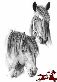 Elegant Wild Horse Prints