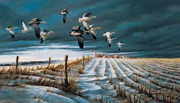 Terry Redlin - Winter Snows - Snow Geese - Limited Edition Print