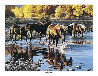 Tim Cox - Coming In At Sundown UNAVAILABLE