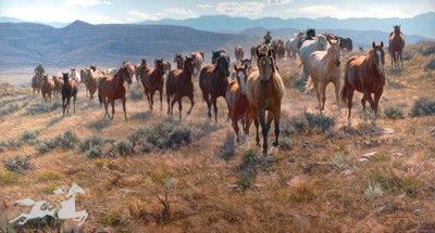 Country Horse Wallpaper