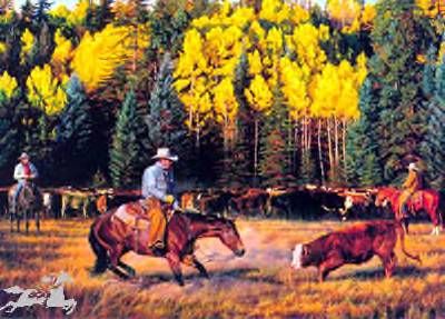 Tim Cox - Cowhorse Boogie - Limited Edition