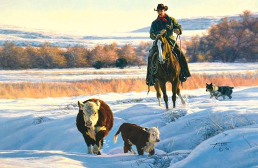 Tim Cox - Found - Limited Edition Print - Rare