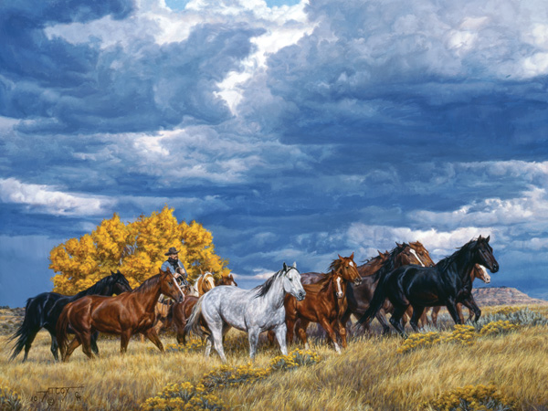 Tim Cox - Gathering Storm - Signed & Numbered Canvas Giclee