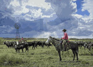 Tim Cox Cowboy and Western Art Prints