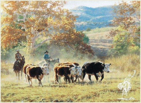 Tim Cox - Off The Mountain In October