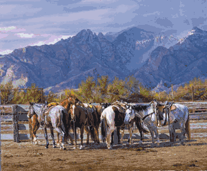 Tim Cox Cowboy and Western Art Prints