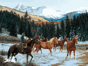 Tim Cox Cowboy and Western Art Prints