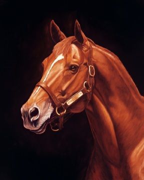 Tom Chapman - Secretariat - Signed & Numbered Canvas Print