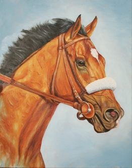 Tom Chapman - The Look of a Champion, Barbaro - Limited Edition