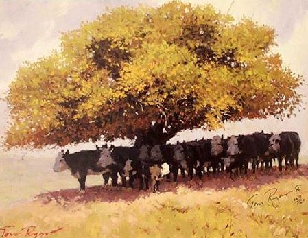 Tom Ryan - One in the Sun UNAVAILABLE