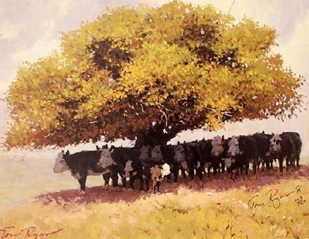 Tom Ryan - One in the Sun UNAVAILABLE