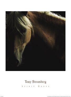 Tony Stromberg - Spirit Horse - Sepia Print