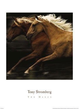 Tony Stromberg - The Dance - Horse Print