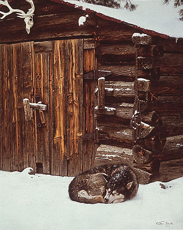 Tucker Smith - Malamute