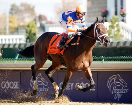 Uncle Mo - 2010 Breeder's Cup Winning Horse Photo