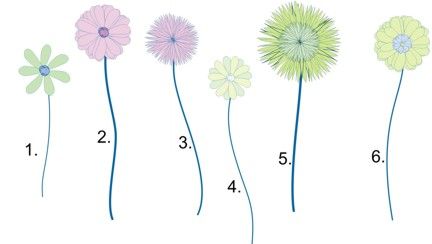 Mod Flower Collection