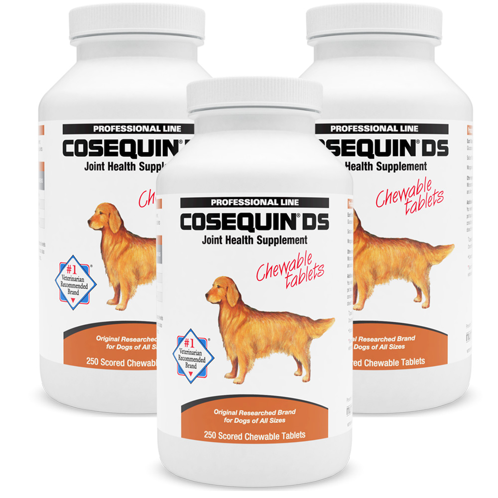 Nutramax Cosequin DS Joint Health Supplement for Dogs - With ...