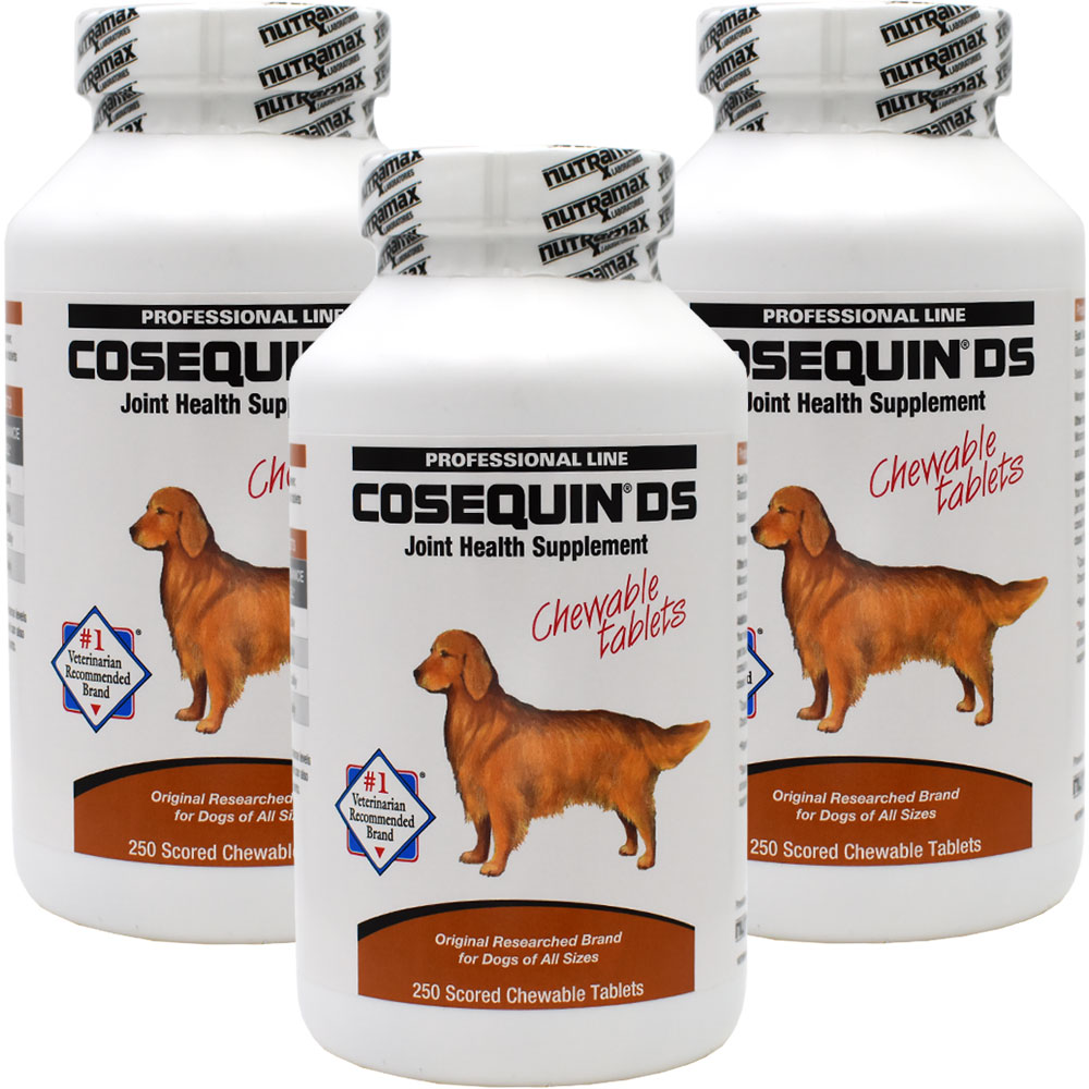 Nutramax Cosequin DS Joint Health Supplement for Dogs - With ...