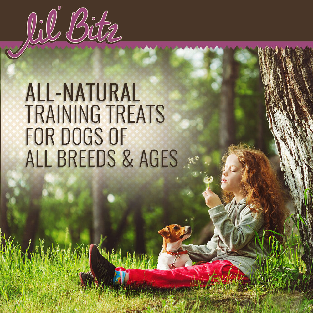 3-PACK Lil' Bitz ASSORTED PACK (12 oz) | On Sale | EntirelyPets