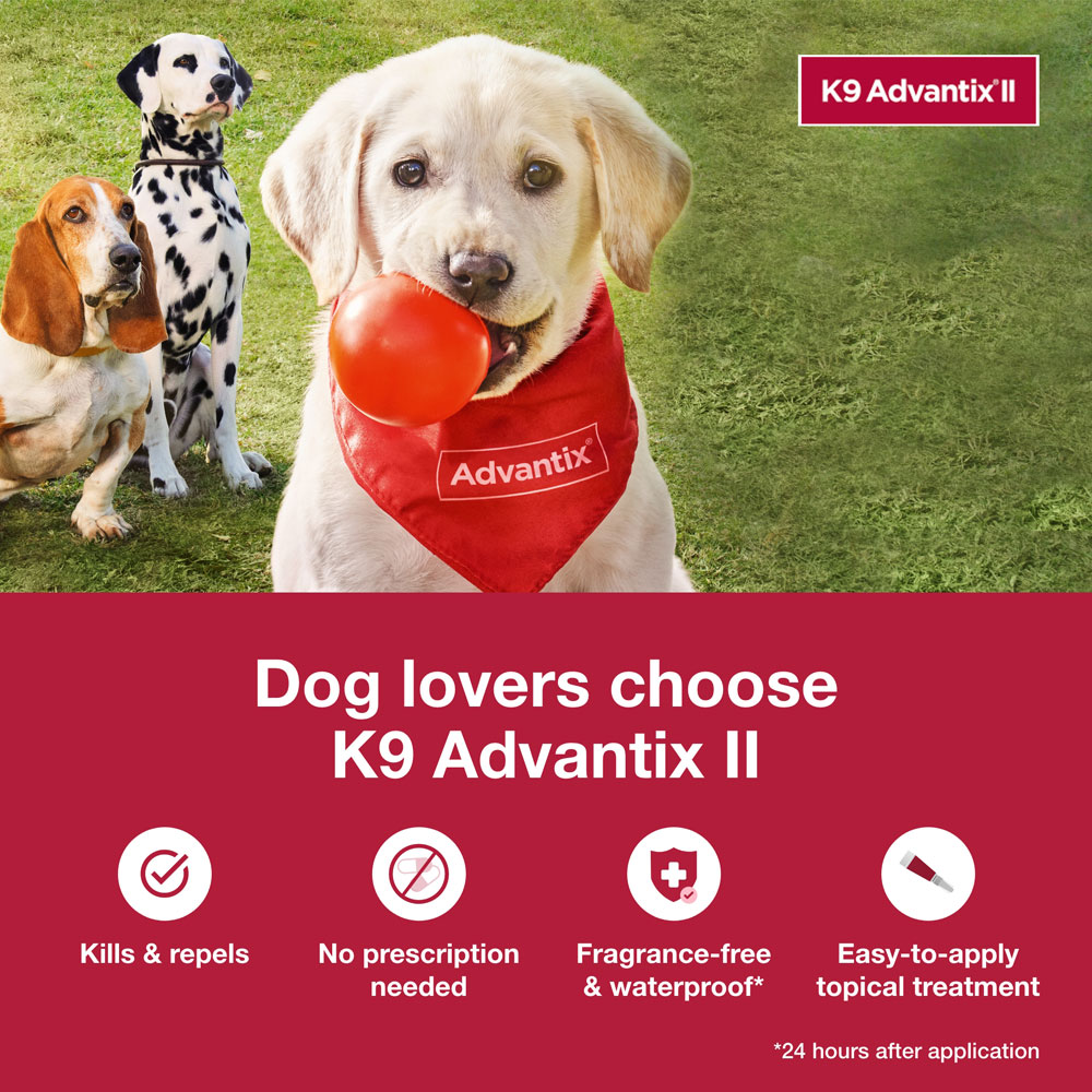 K9 Advantix II Medium Dogs 11-20 lbs. | Vet-Recommended Flea, Tick ...