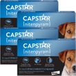 Capstar Blue for Dogs or Cats (6 Tablets) | EntirelyPets