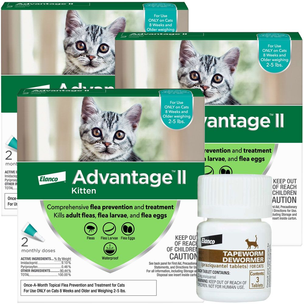 6 MONTH Advantage II Flea Control for Kittens (2-5 lbs) + Tapeworm ...