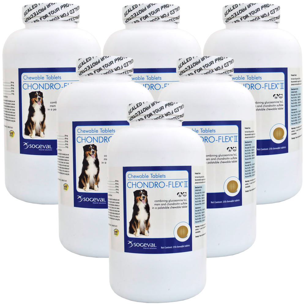 6 PACK Chondro Flex II (1500 tablets) CHEWABLES | On Sale | EntirelyPets
