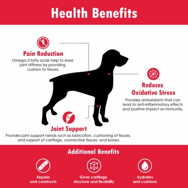 Joint MAX Liquid for Dogs | Joint MAX Double Strength for Dogs & Cats