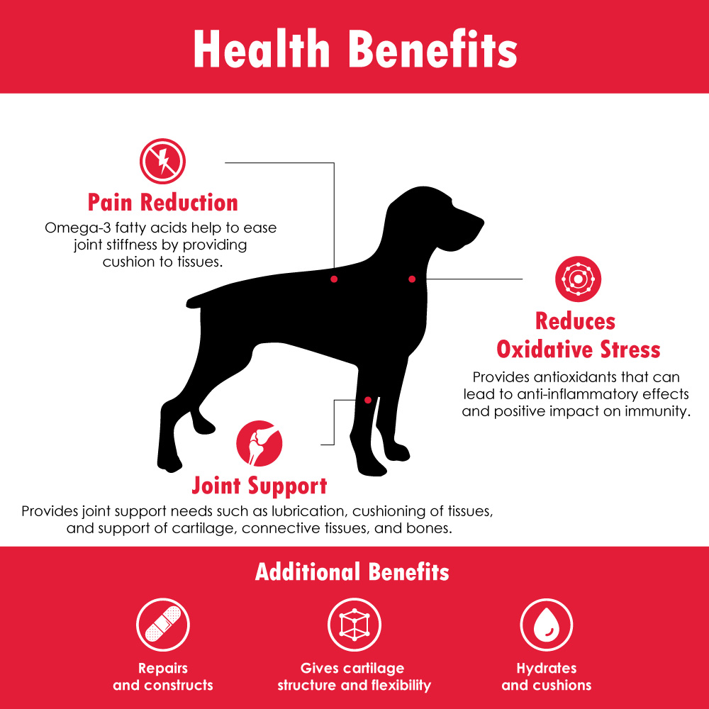 Joint MAX Liquid for Dogs | Joint MAX Double Strength for Dogs & Cats