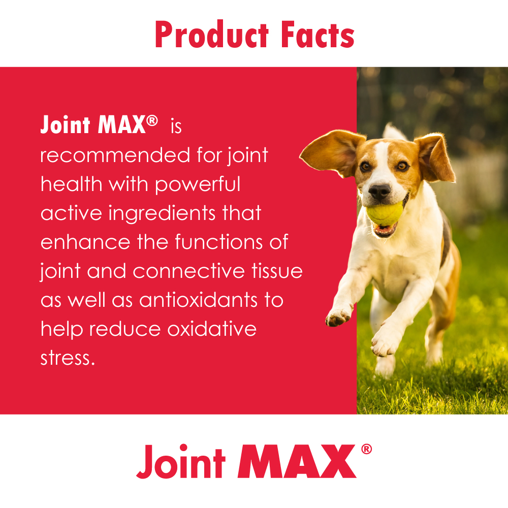 Joint MAX Liquid for Dogs | Joint MAX Double Strength for Dogs & Cats