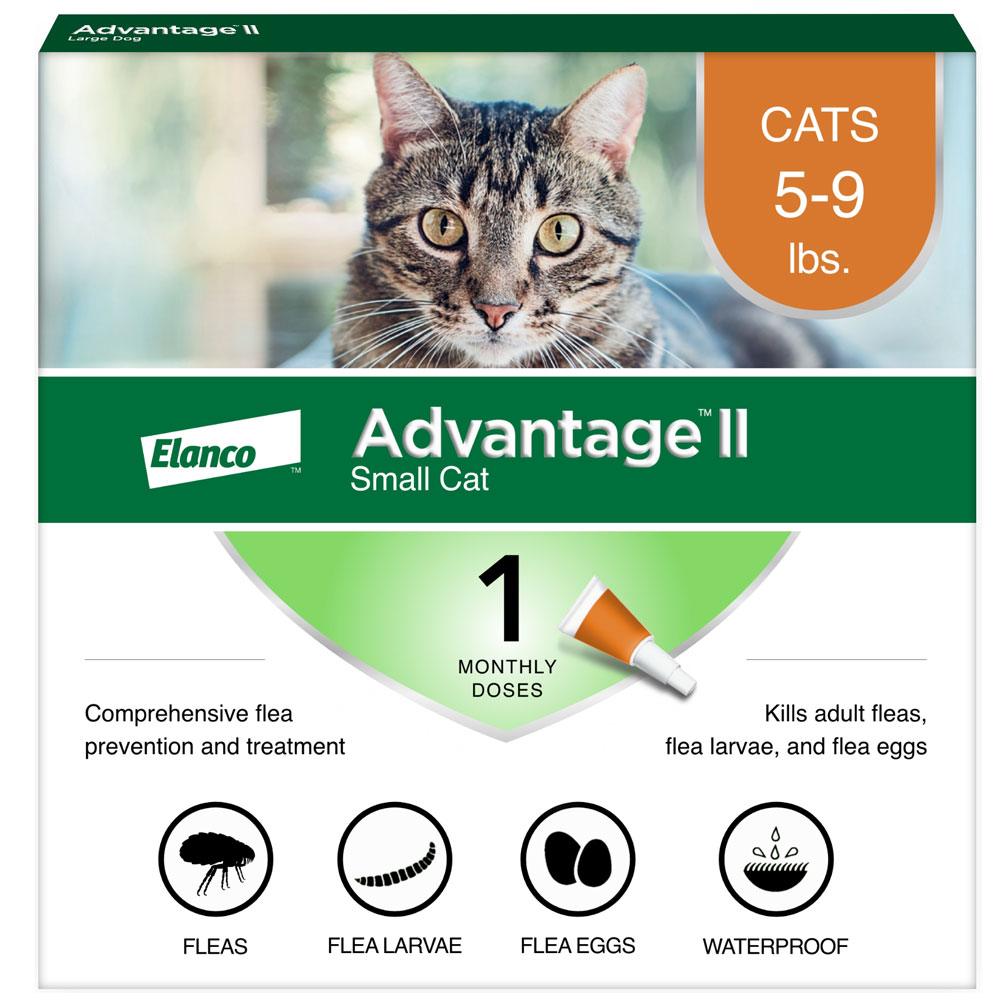Advantage II for Cats | EntirelyPets