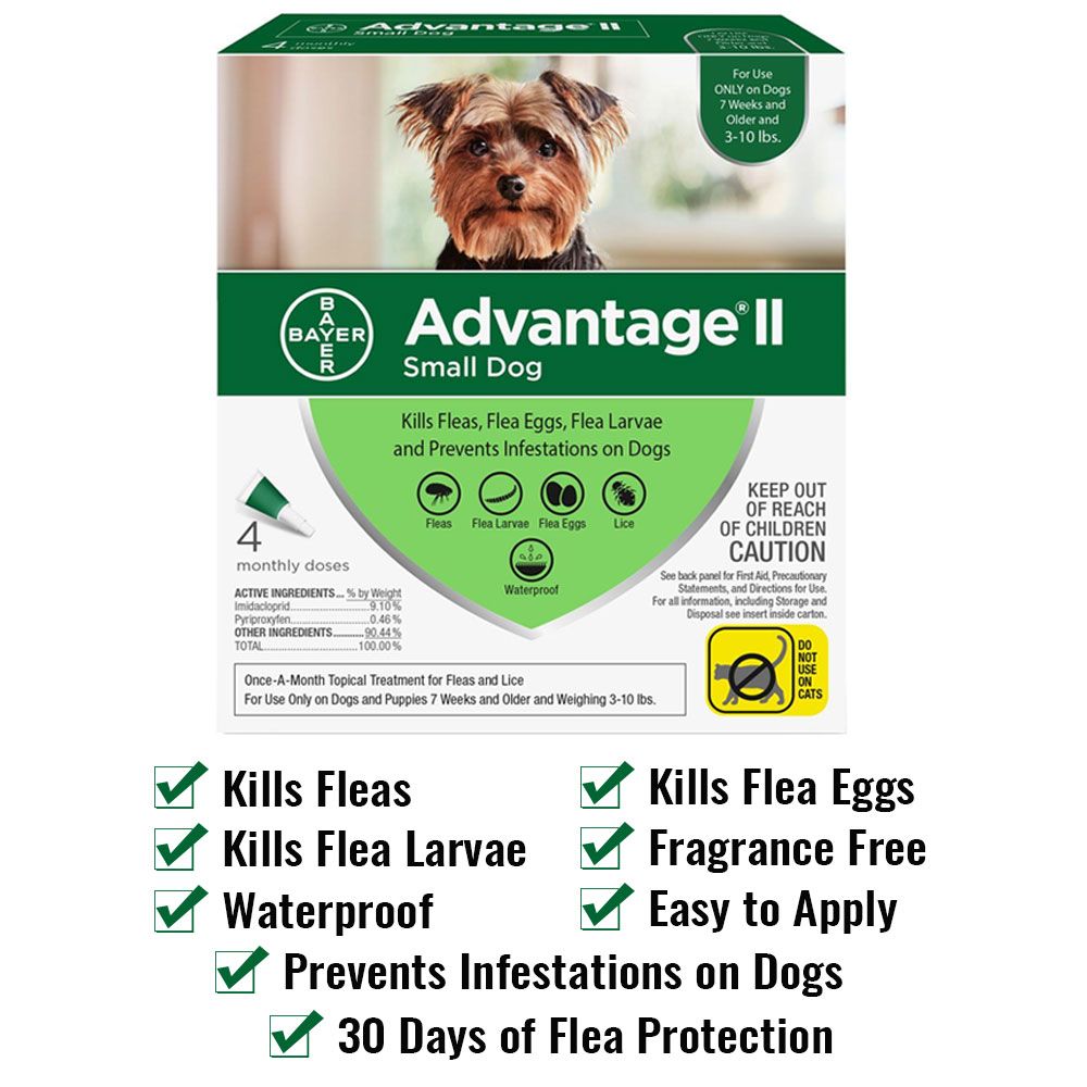 Advantage II for Dogs | EntirelyPets
