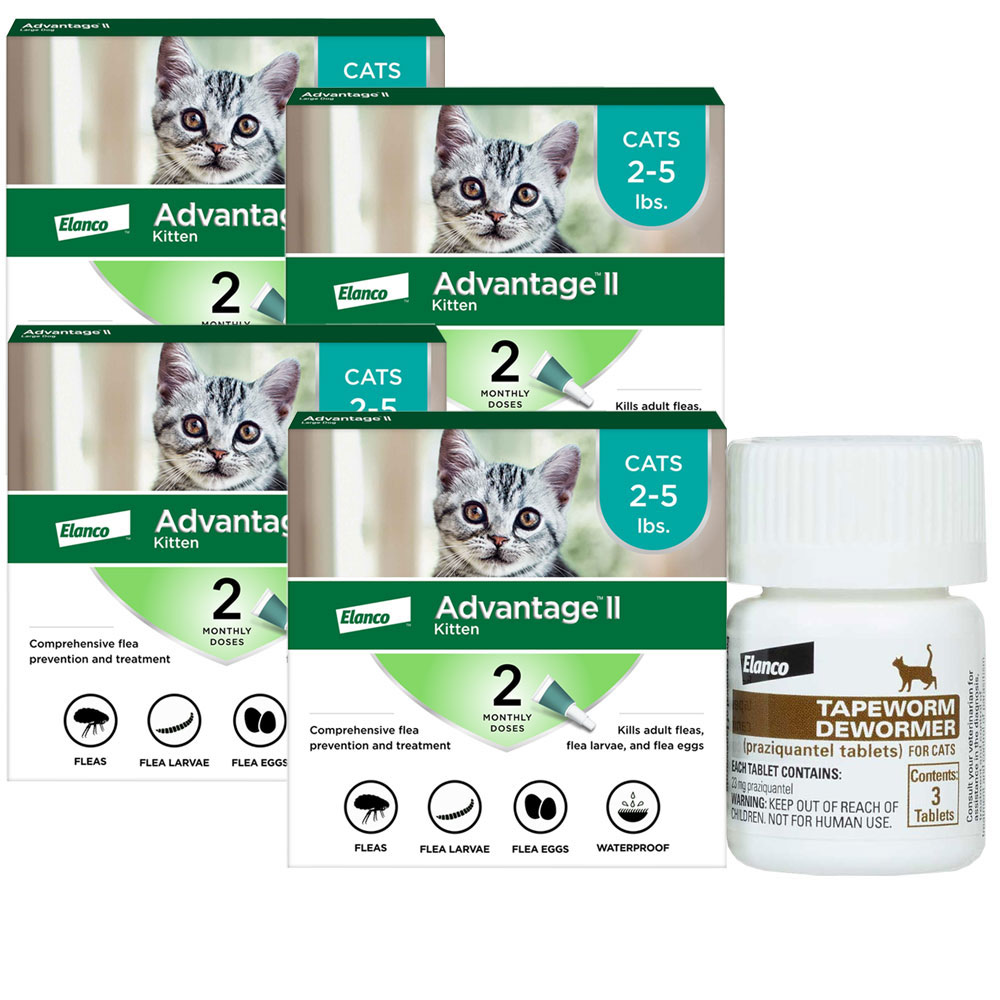 Advantage II Kitten 2-5 lbs.|Vet-Recommended Flea Treatment ...