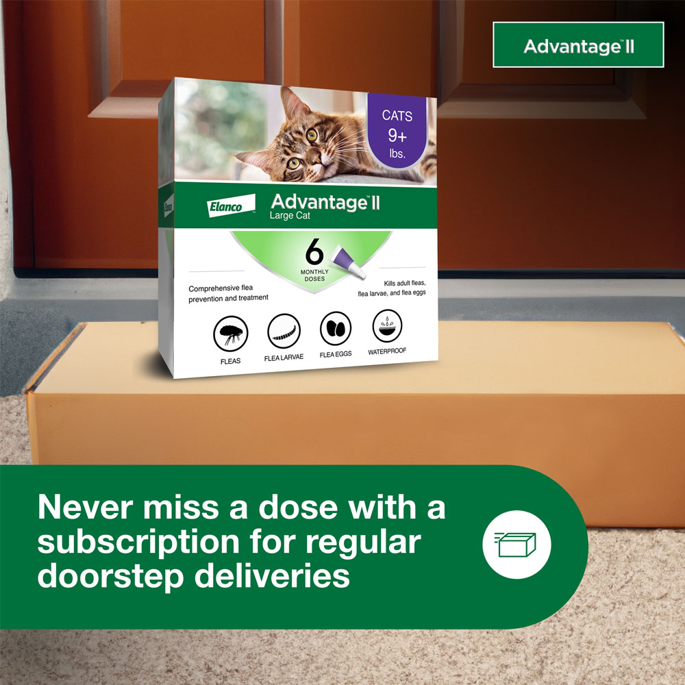 Advantage II for Large Cats (Over 9 lbs) | Free Shipping* | EntirelyPets