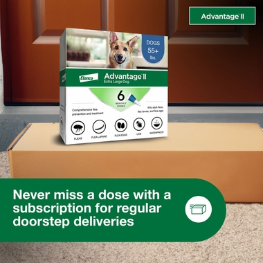 Advantage II XL Dogs Over 55 lbs.|Vet-Recommended Flea Treatment ...