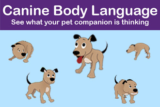 Pet Infographics | EntirelyPets Blog